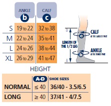 Sigvaris Size Charts - Compression Stockings